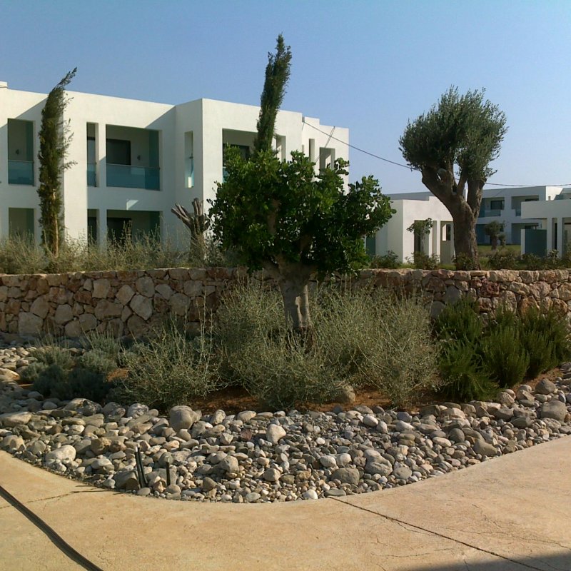 Magic Life Hotel - Τοπιοδομή